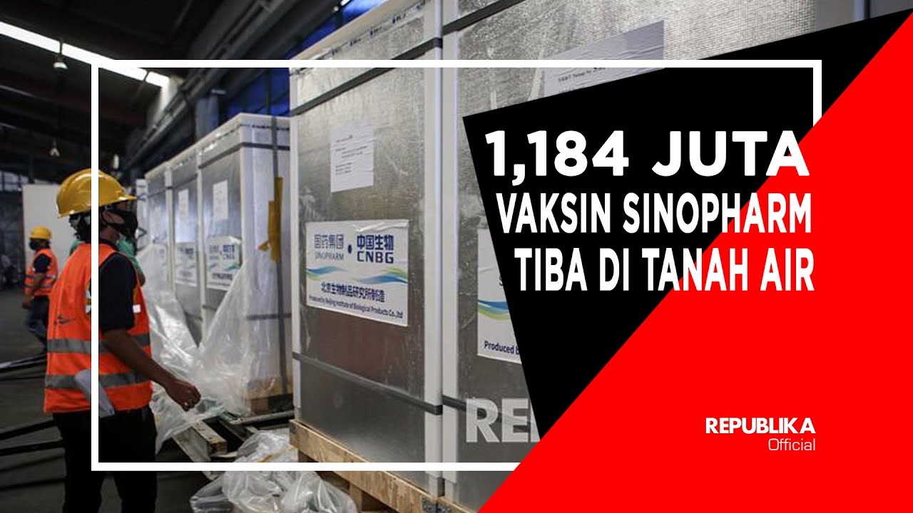 1,184 Juta Dosis Vaksin Sinopharm Tiba di Tanah Air