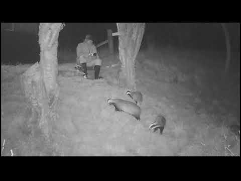 Allan Bantick With Four Badgers