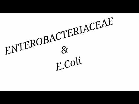 Enterobacteriacae||E.Coli || all topic cover