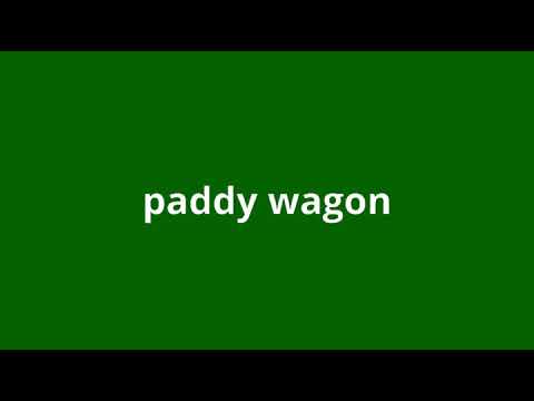 what is the meaning of paddy wagon.