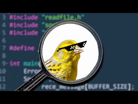 what ever happened to buffer overflows?