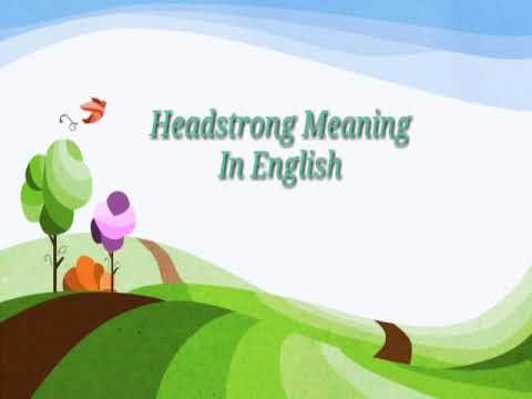 Headstrong meaning in English with sentence spelling and picture