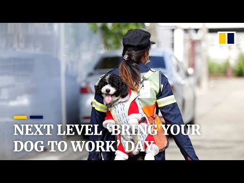 Next level ‘bring your dog to work’ day