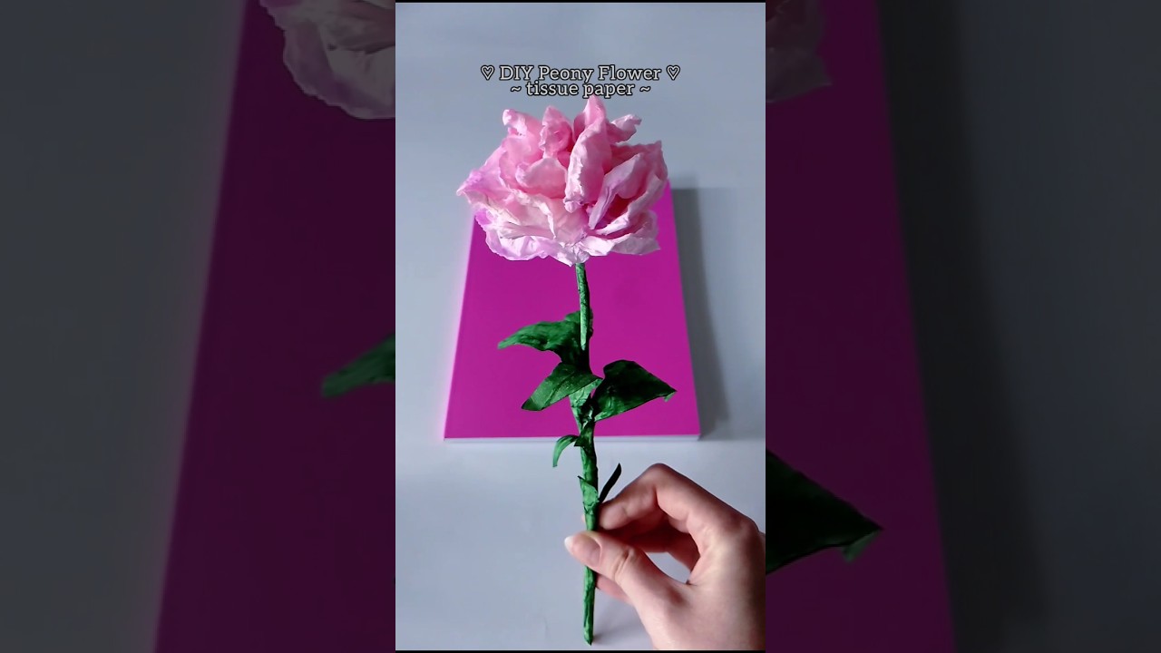 How to make a TISSUE Paper PEONY Flower | EASY Handmade FLORAL Decoration CRAFT DIY Idea