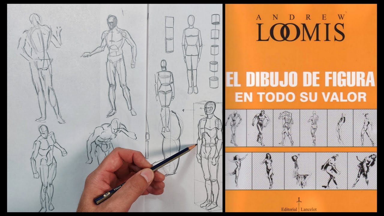 APRENDE la FIGURA HUMANA con el MÉTODO LOOMIS - La figura en todo su valor