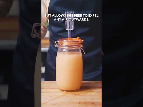 How fermentation ACTUALLY works #food #cooking #viral