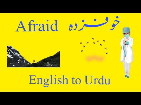 Afraid ڈرا ہوا/خوفزدہ | English to Urdu Translation. #easylearneverything.1onlinefree