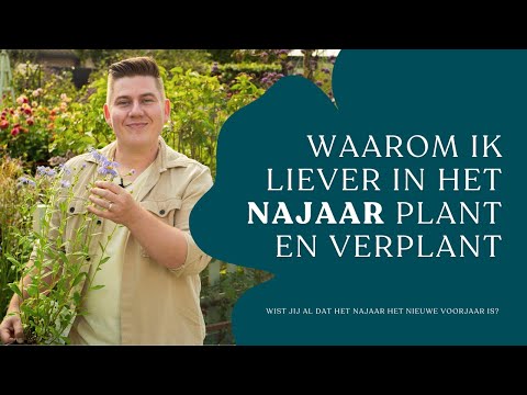 Waarom het najaar het nieuwe voorjaar is: planten en verplanten I Angelo Dorny