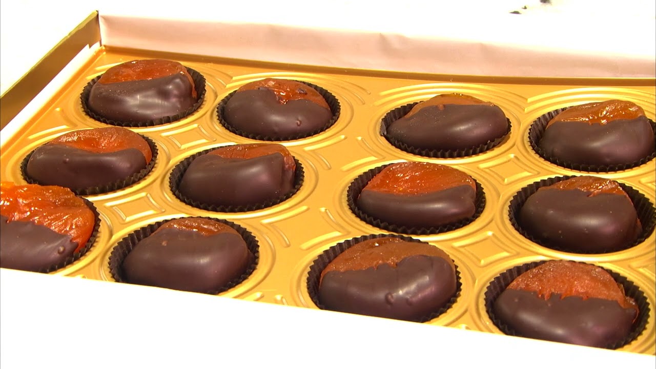 Bissinger's Glaceed Apricots Au Chocolat