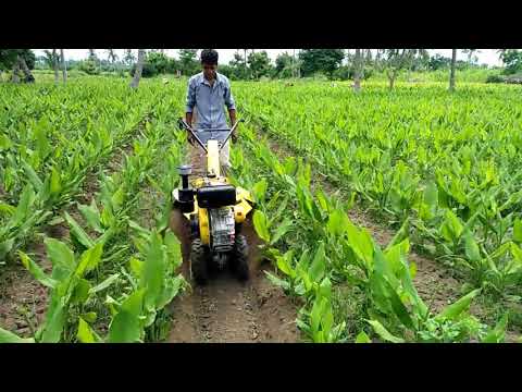 Agricultural Cutting Machine at Best Price in India