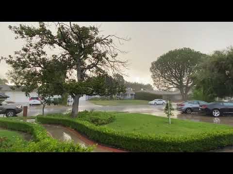 TUSTIN, CALIFORNIA-MORNING RAIN (1)