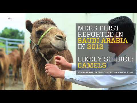 Here's what you need to know about MERS