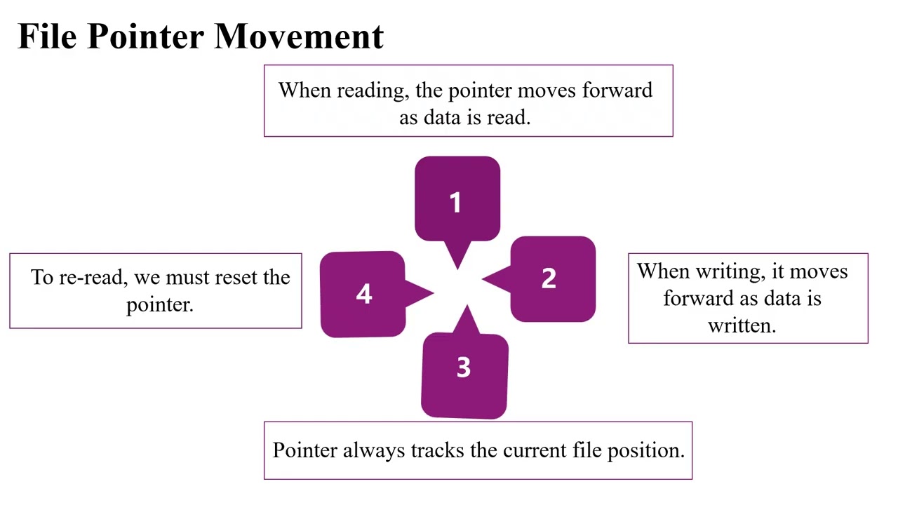 File pointer  in C programming