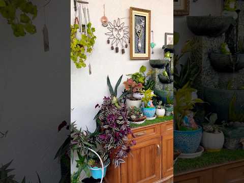 Home entrance decoration ideas #home #entrancedecor #plants #gardening #shorts #youtubeshorts