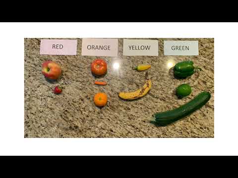 ELIS POWERPOINT camryn constance sensory based learning