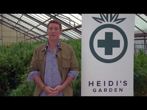 CW Hemp | Josh Stanley: How did it all started?
