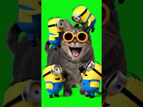 Spinning Cat Attracts EVERYTHING🐱#OIIAOIIA #cat💫#PixVerse #hailuoai🔔#subscribe