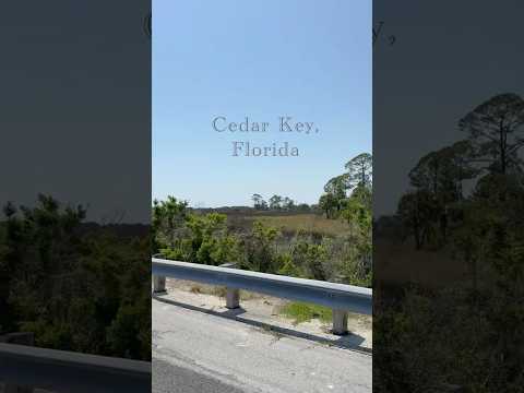 Day Trip to Cedar Key!