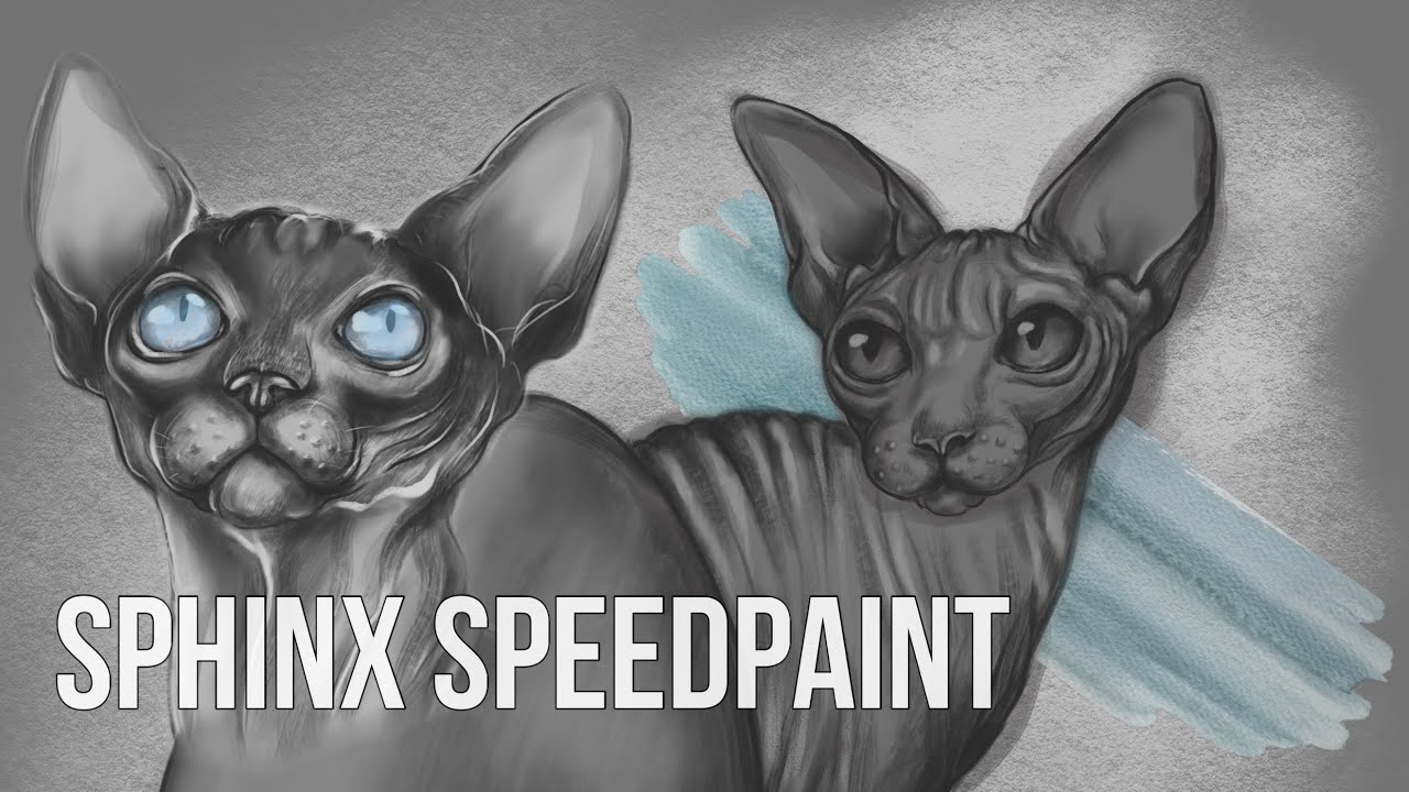 Sphinx speedpaint | Procreate