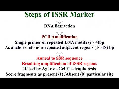 Principle and Types and Steps of ISSR Marker