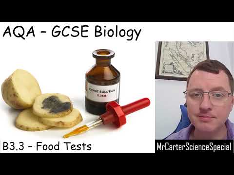 B3.3 - Food Tests - AQA Biology GCSE 9-1
