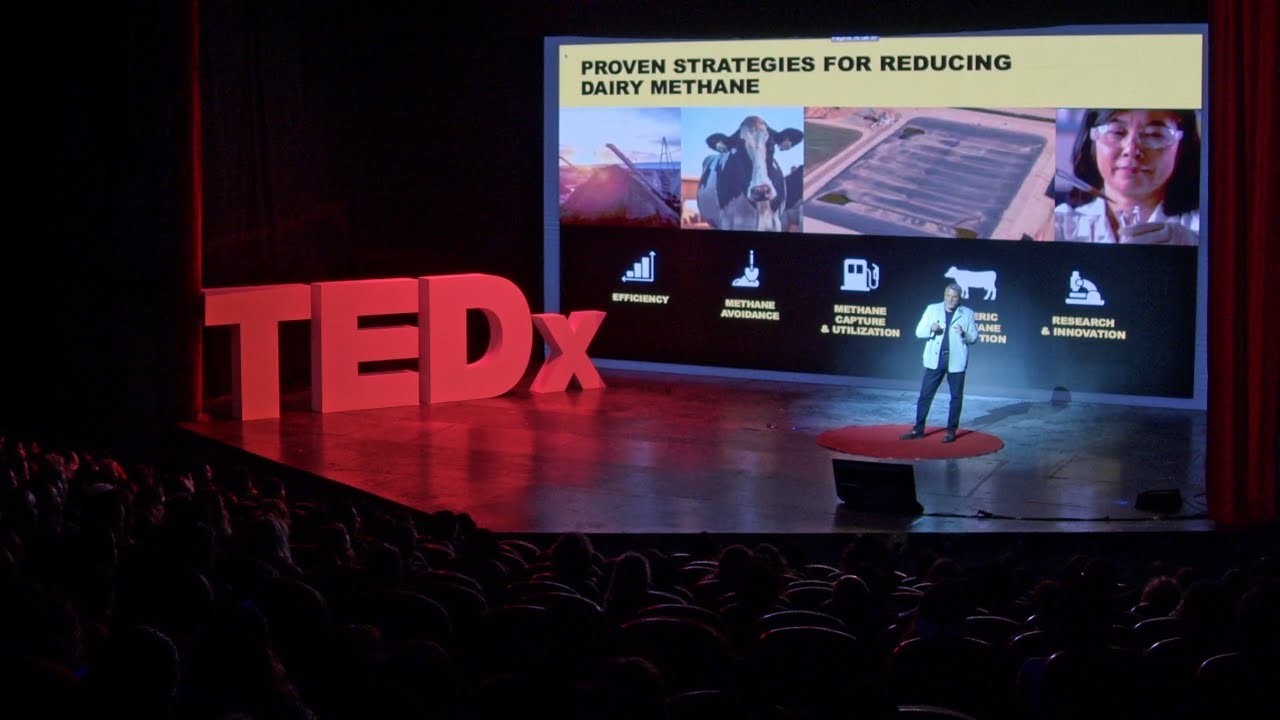 Evolution of Planet-Smart Dairy  | Michael Boccadoro | TEDxSanAngel