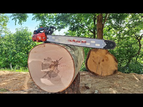 Echo CS-2511 Extreme test !!! (big bar and very hard wood)