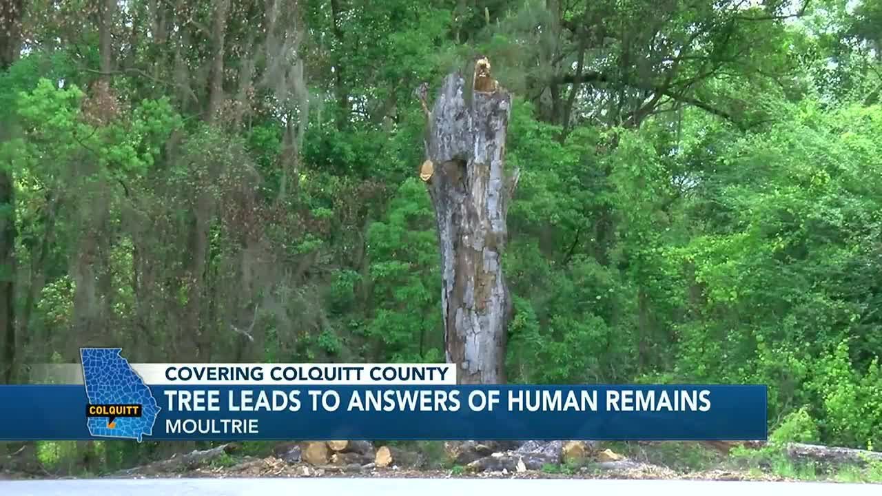 Possible human remains found in Moultrie raise community concern