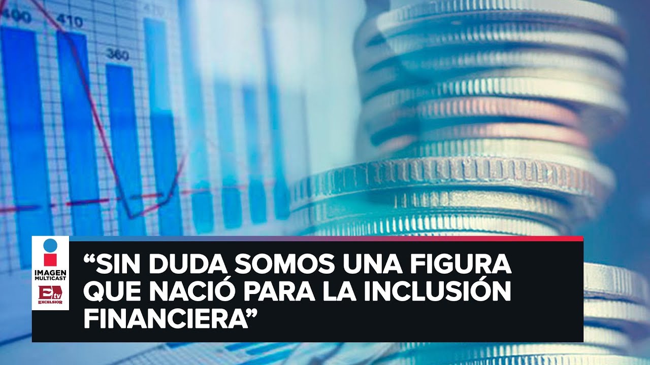 Regulación y financiamiento de las SOFOMES