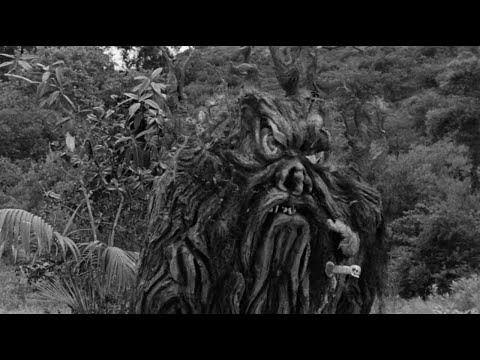 WALKING TREE MONSTER: "From Hell It Came" (1957)
