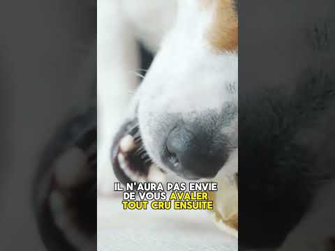 Un chien qui goûte au sang y reviendra?!