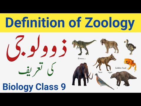 What is zoology in Hindi - Definition of Zoology - Zoology meaning