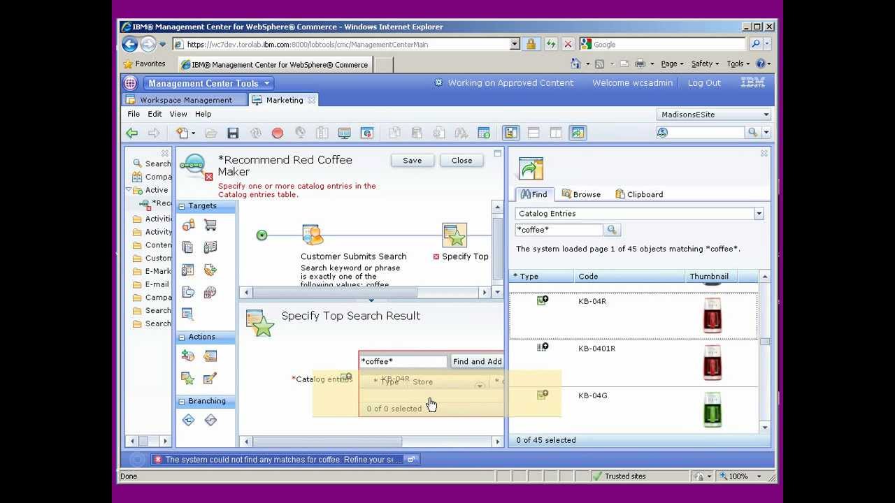 Searchandizing with WebSphere Commerce