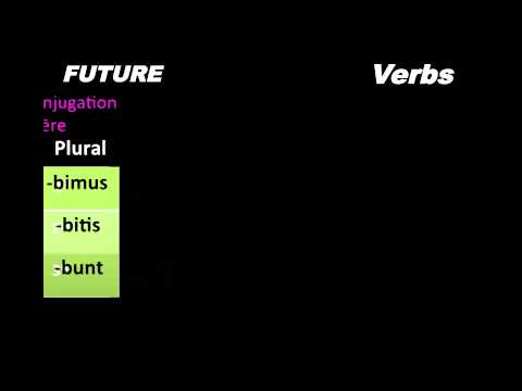 Latin Future Tense 1st 2nd Conjugation
