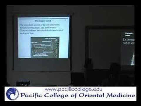 PCOM Anatomy 1 WK 6 Bones of Upper Limb P2