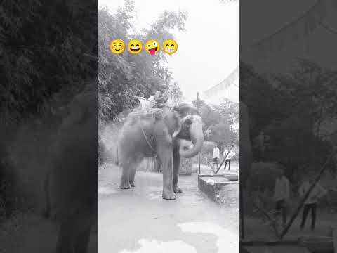 # video #Har ram# Hari Ram βΊοΈππ€ͺπ