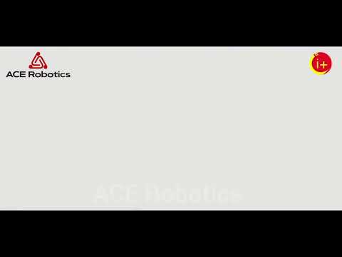INDUSTRIAL ROBOT and WELDING ROBOTS Manufacturer | Ace Robotics Private ...