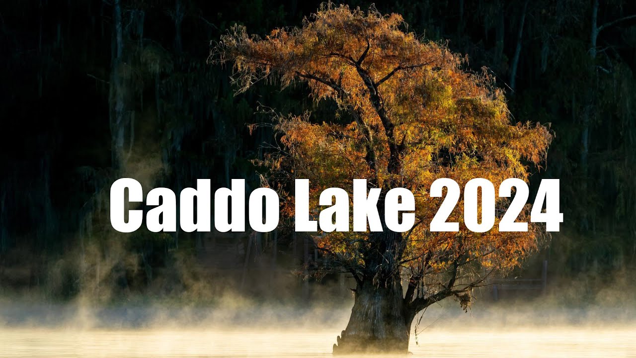 2024 Caddo Lake Photo Tour with BCJ