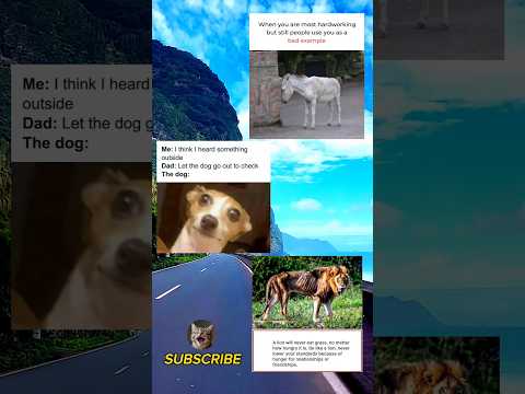 Life Lessons from Animals! 🦁🐶😂 | Motivational & Funny Memes #memes #ViralMeme