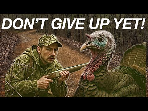 Late Season Turkey Hunting Tactics | How to Kill Silent Gobblers on Public Land