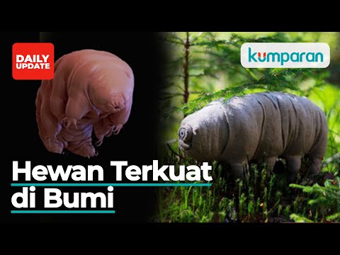 Spesies Baru Hewan Terkuat di Bumi Dinamai Nagini Harry Potter ...