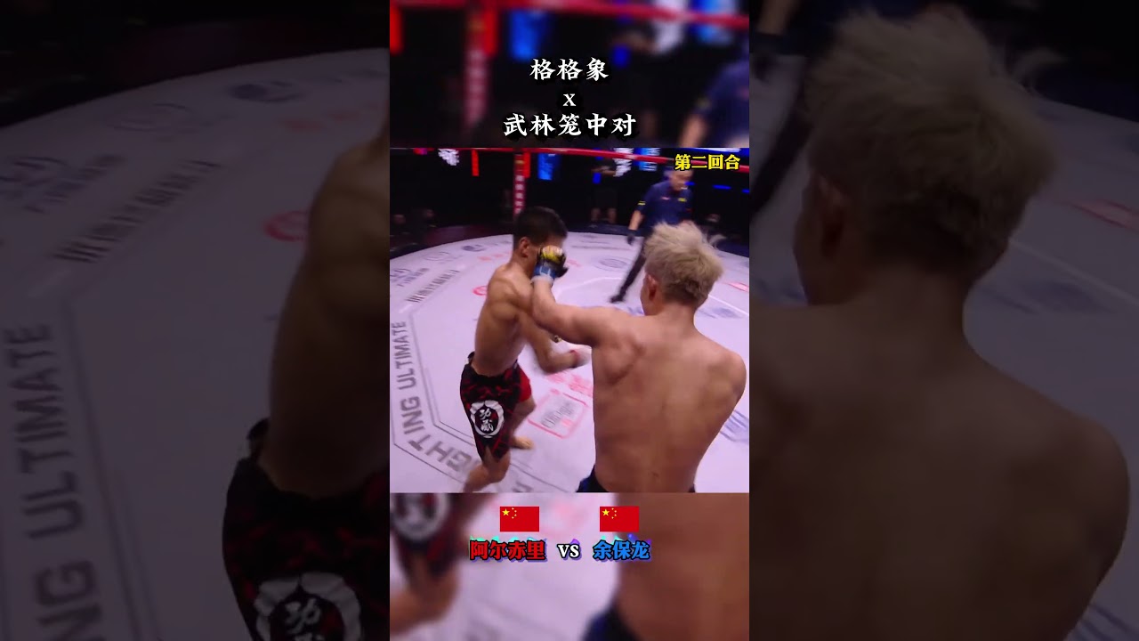 Round 2 Highlights:Aerchili vs. Yu Baolong — Best Strategy Actions