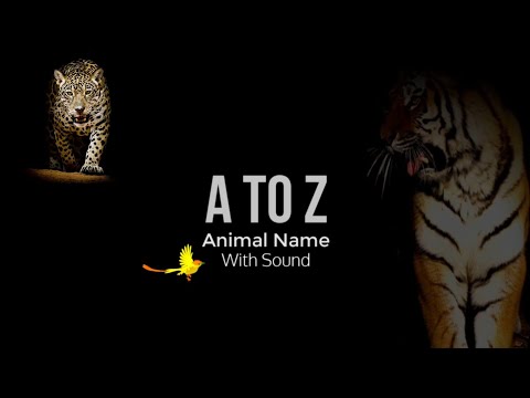 A to Z | animal name and their videos and sounds effects