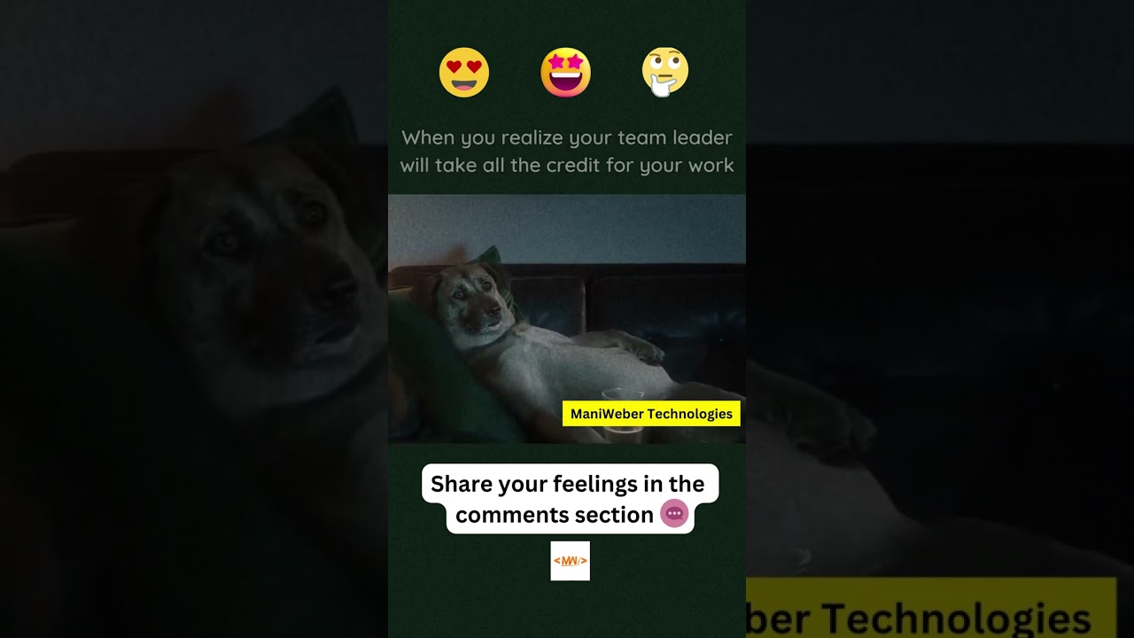 Funny Meme | Programming Meme | Coding Meme Ft Sad Dog 😭😭#shorts #programmingmemes #python #humor