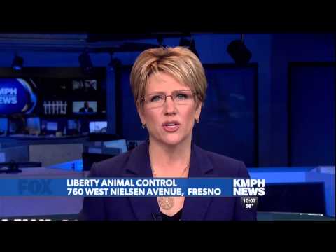 KMPH FOX 26 NEWS 111414 AIRCHECK