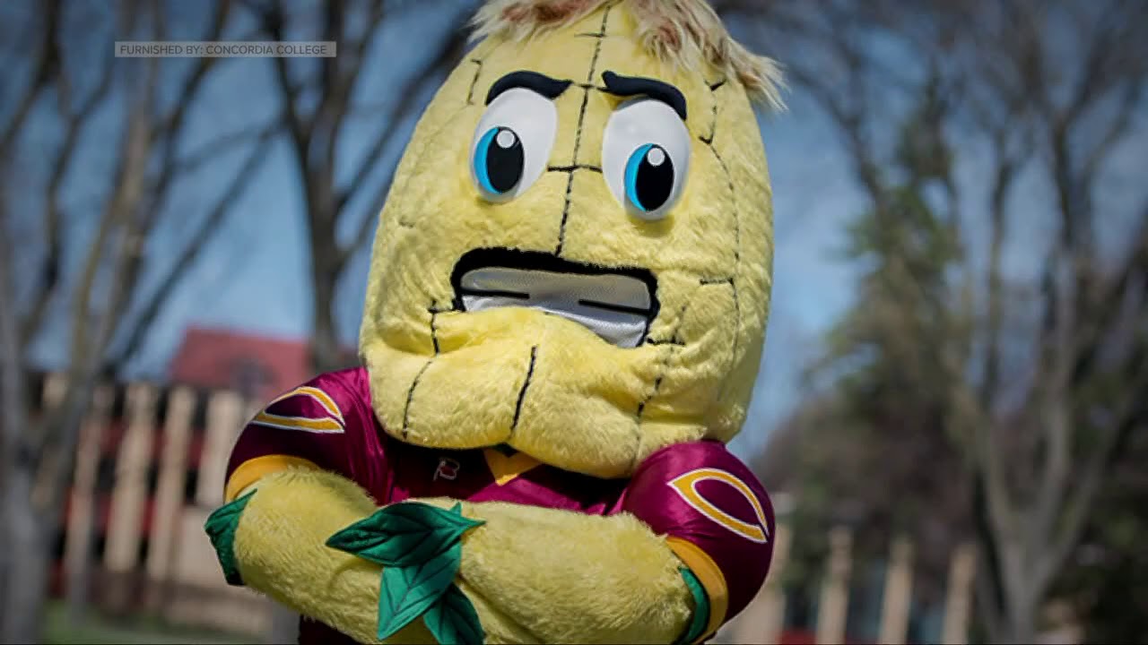 Verify: How often should you wash your bed sheets?