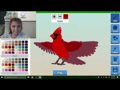 Bird Life