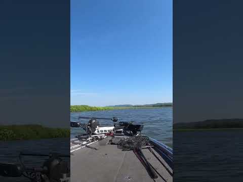 Boat Accident Ripped The Motor Off!! #fishing #riverbass #freshwaterfish #bassfishing #boatfails