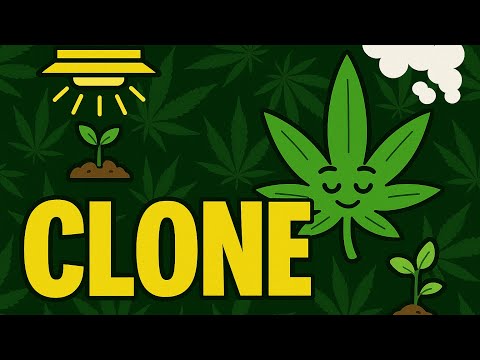 KRAHN — “Clone” | Dub Reggae Weed Metaphor, Deep Stoner Groove (Joe Sparks)