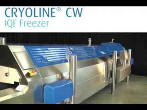 IQF Freezer - IQF Tunnel Freezer Latest Price, Manufacturers & Suppliers